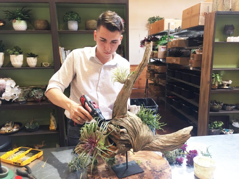 The Best-of-the-Best in Silk Plants – Robert Lawrence Designs ...
