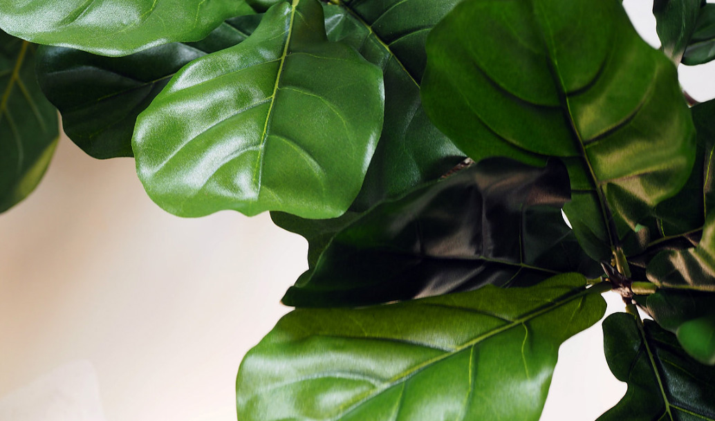 The Best-of-the-Best in Silk Plants – Robert Lawrence Designs ...